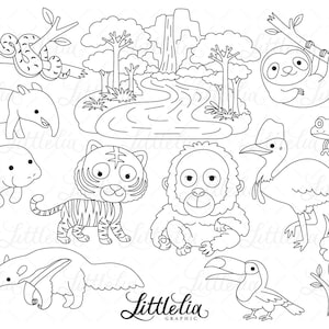 Rainforest Animal Clipart - Exotic Animal - 22003 (including Black and ...