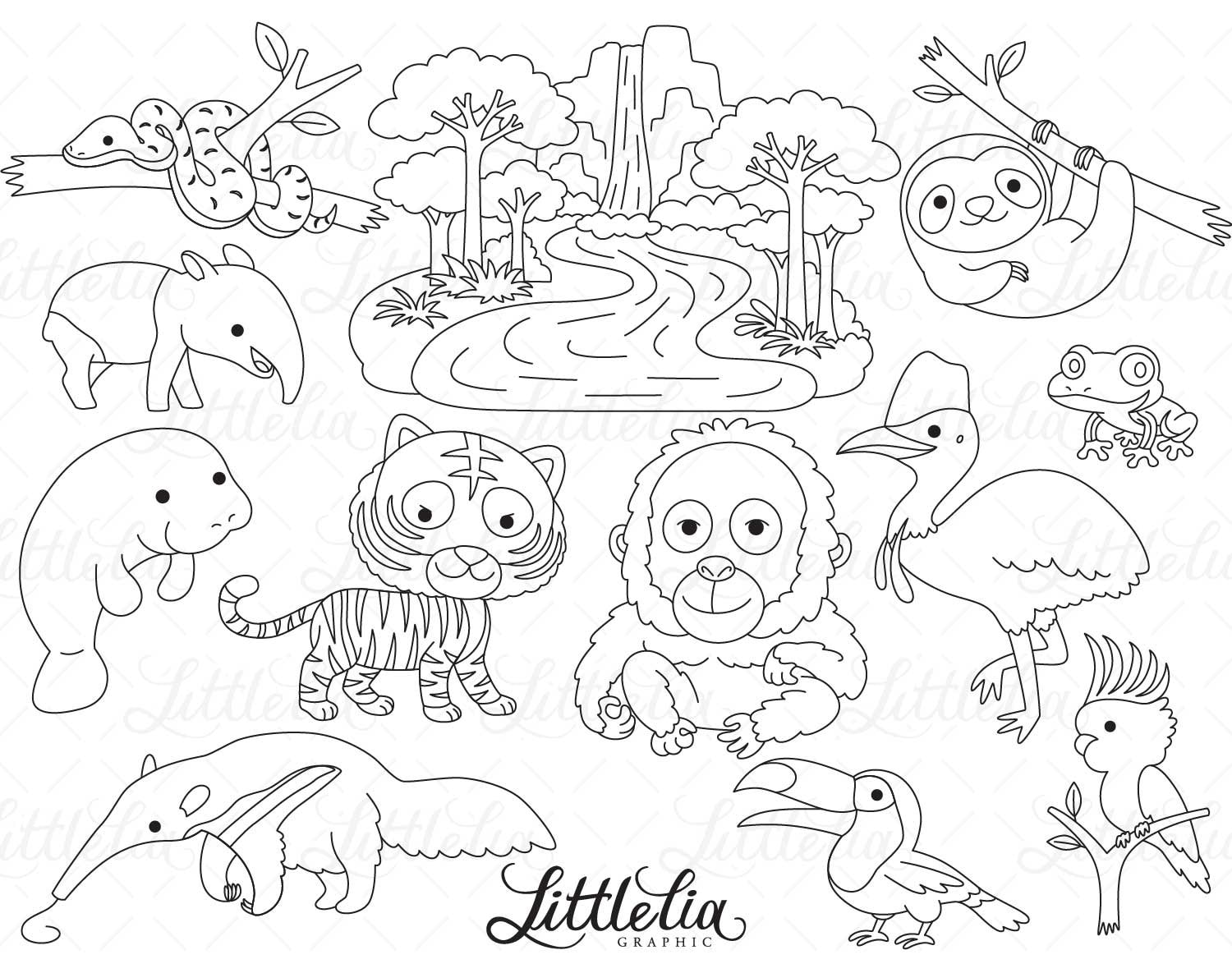 Rainforest Animal Clipart Exotic Animal 22003 including - Etsy