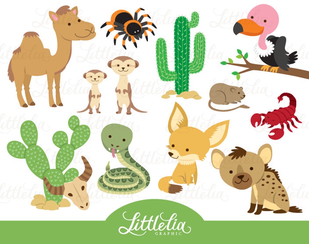 Desert Animal Clipart - Animal Clipart - Desert Clipart - 16041 - Etsy