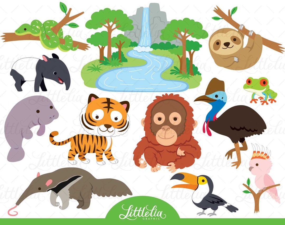 Animales En La Selva Tropical