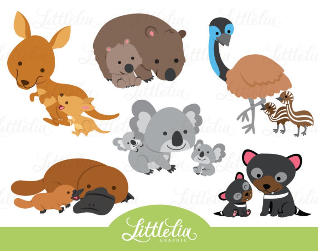 Cute Baby Australian Animals