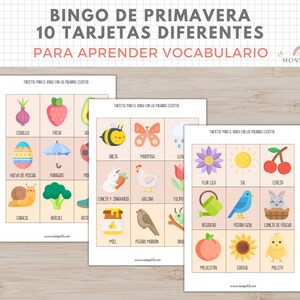 Bingo Temática Primavera, Juego, Vocabulario Niños, Imprimible, Español ...