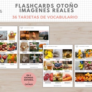 36 Flashcards Vocabulario Otoño, Imágenes Reales, Imprimible Niños ...
