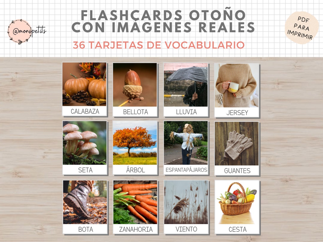 36 Flashcards Vocabulario Otoño Imágenes Reales Imprimible - Etsy