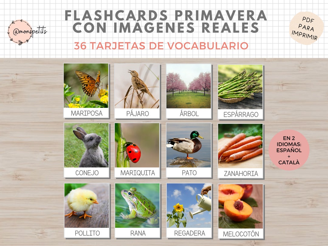 36 Flashcards Vocabulario Primavera, Imágenes Reales, Imprimible Niños ...