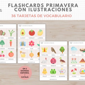 36 Flashcards Vocabulario Primavera, Dibujos, Imprimible Niños, Español ...