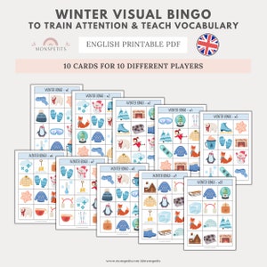 Winter Themed Visual Bingo, Game, Children's Vocabulary, Printable ...