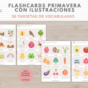 36 Flashcards Vocabulario Primavera, Dibujos, Imprimible Niños, Español ...