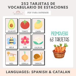 252 Flashcards Vocabulario Estaciones, PDF Imprimible Digital ...