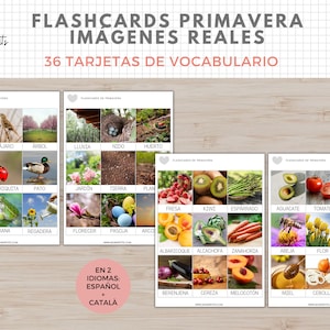 36 Flashcards Vocabulario Primavera, Imágenes Reales, Imprimible Niños ...