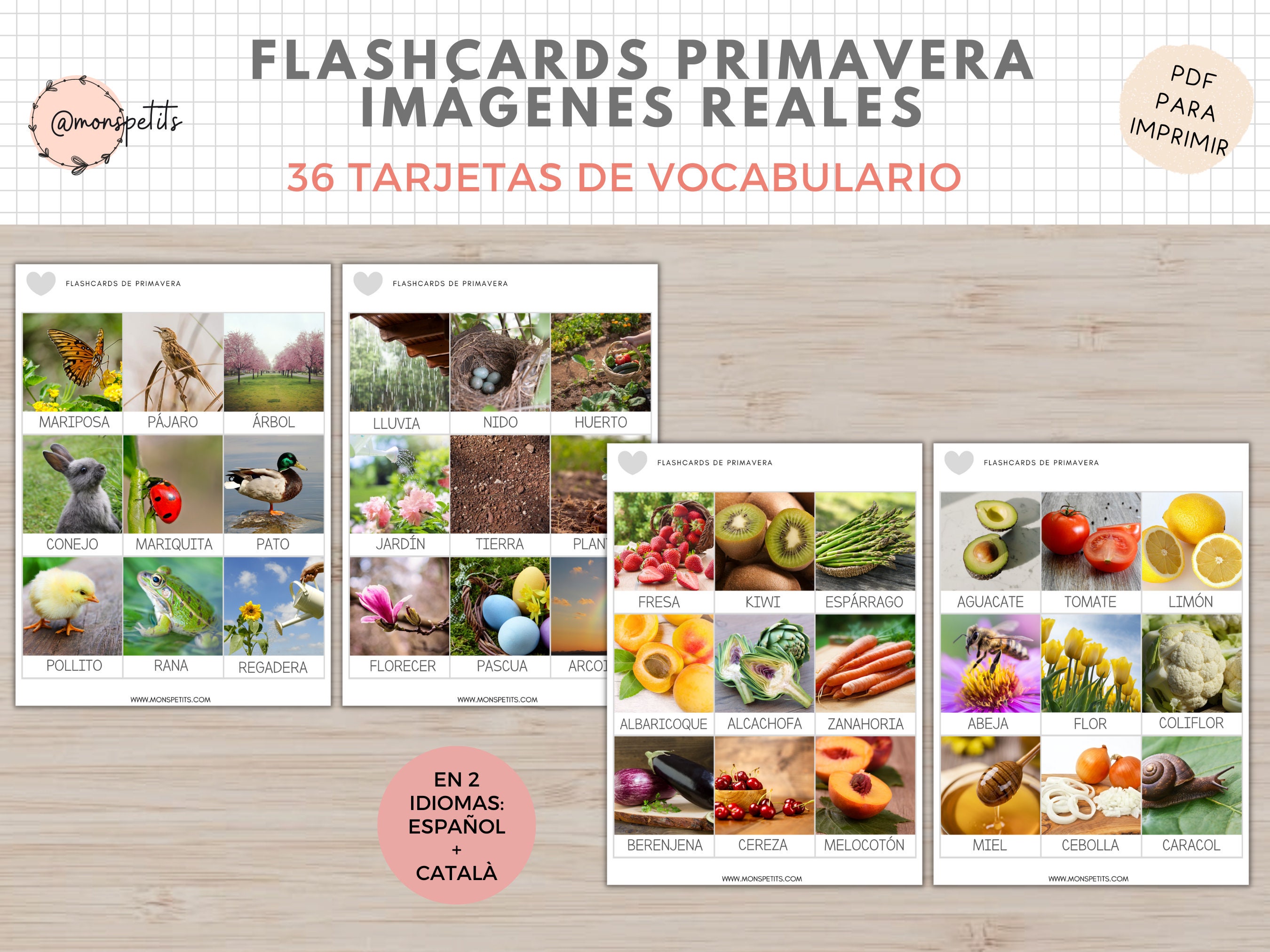 36 Flashcards Vocabulario Primavera, Imágenes Reales, Imprimible Niños ...