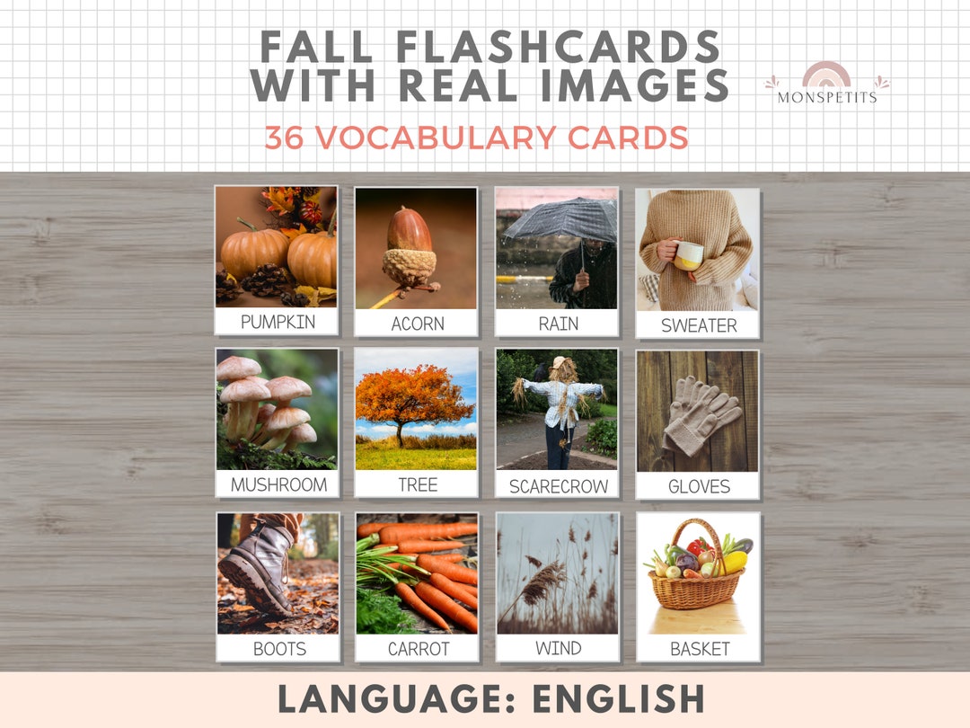 36 Fall Vocabulary Flashcards, Real Images, Printable for Kids in ...