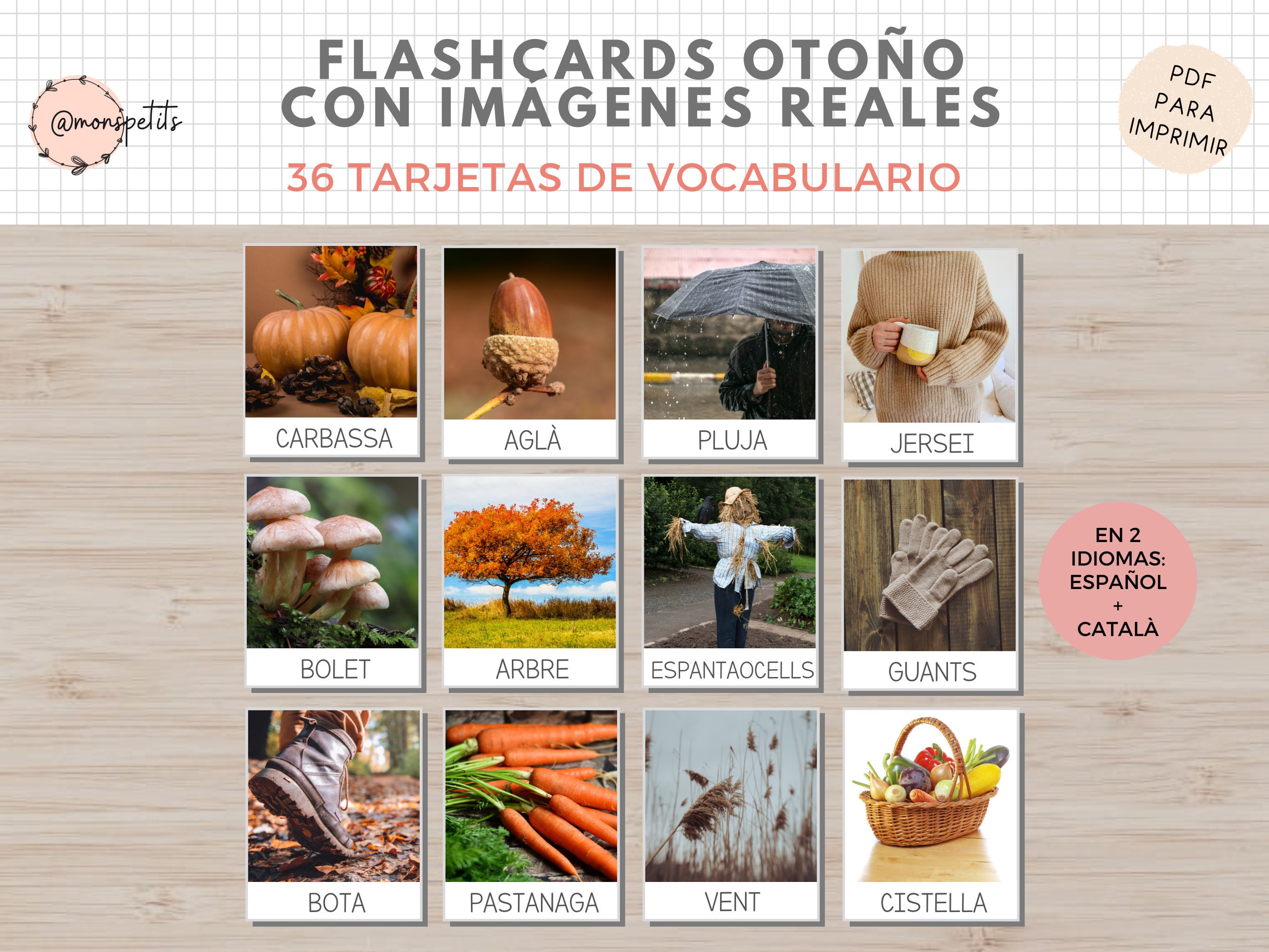 36 Flashcards Vocabulario Otoño, Imágenes Reales, Imprimible Niños ...