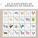 24 Flashcards Animales De Granja Castellano / Español - Vocabulario ...