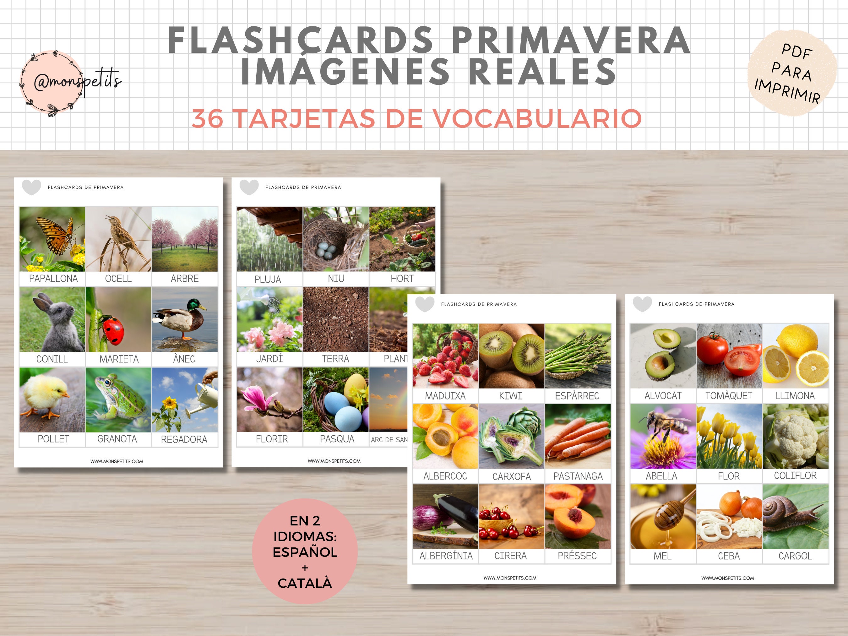 36 Flashcards Vocabulario Primavera, Imágenes Reales, Imprimible Niños ...