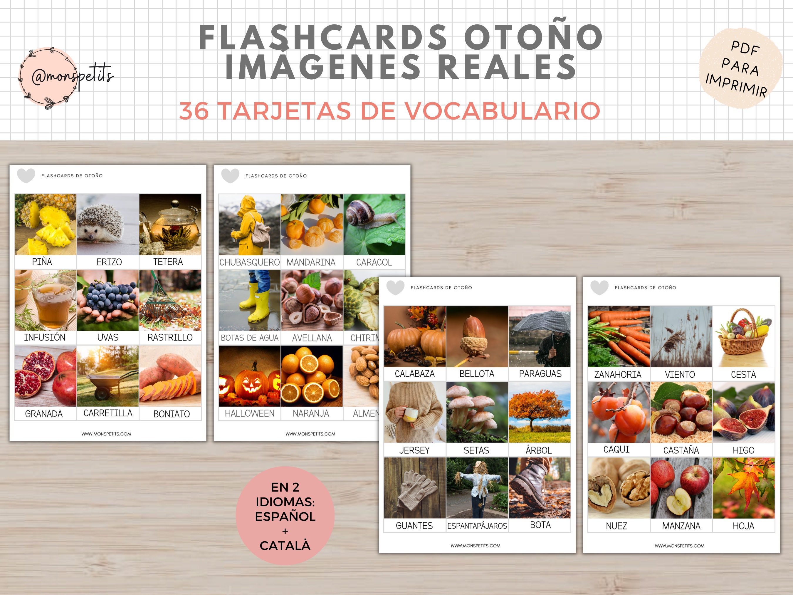 36 Flashcards Vocabulario Otoño Imágenes Reales Imprimible - Etsy