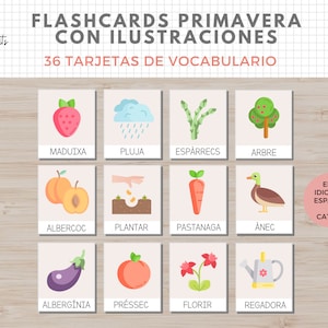 36 Flashcards Vocabulario Primavera, Dibujos, Imprimible Niños, Español ...