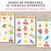 Bingo Temática Primavera, Juego, Vocabulario Niños, Imprimible, Español ...