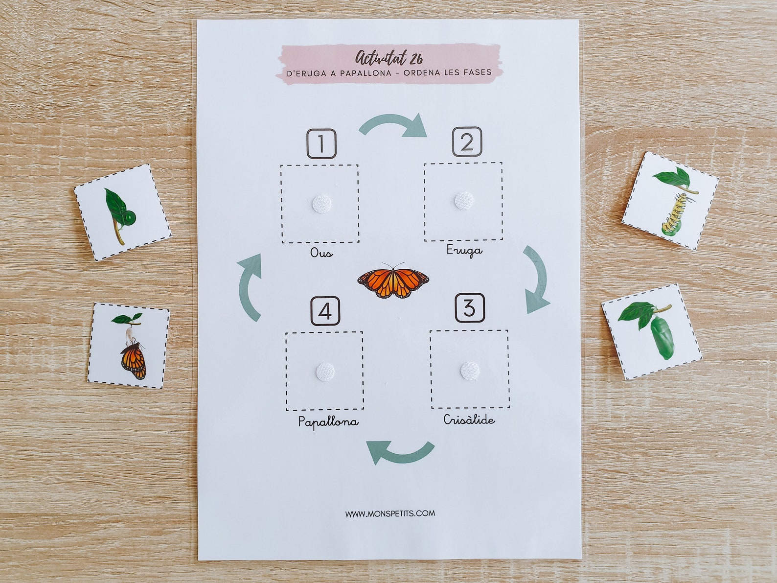 Cuaderno de Actividades de Primavera Descargable para Niños CASTELLANO ...