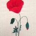 DIGITAL DOWNLOAD. Silk Shading Poppy Pattern - Etsy