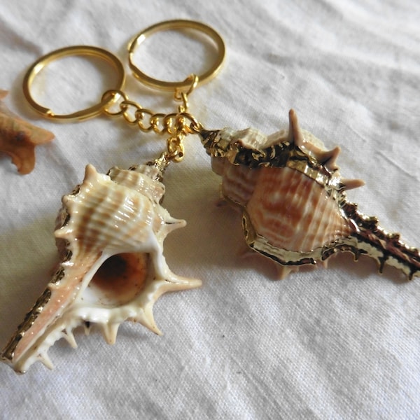 Sea Shell Keychain - Etsy