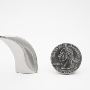 34mm (1-1/4") Eagle Claw Spike. Single Spike. Leathercraft or Glue-on ...