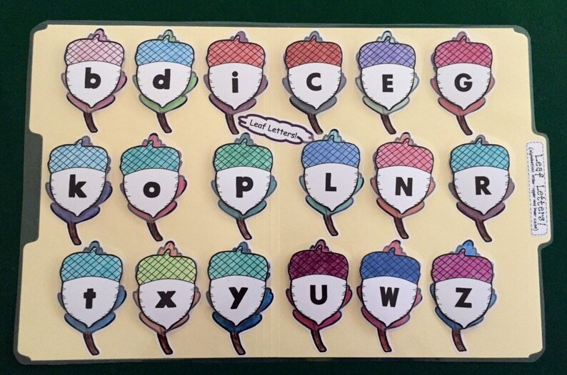 LEAF LETTERS Alphabet Alphabetical Order File Folder | Etsy