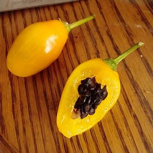 Yellow Teardrop Rocoto Chile Seeds (24) FREE SHIPPING - Etsy