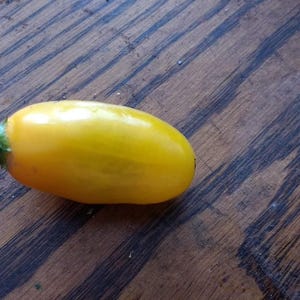 Yellow Teardrop Rocoto Chile Seeds 24 Seeds-free Shipping - Etsy
