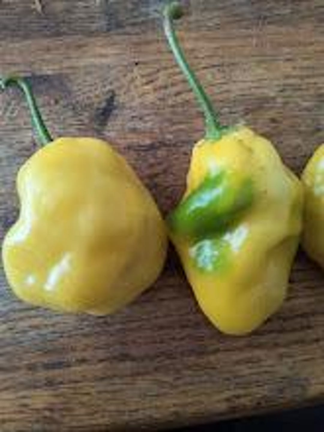 Jumbo Yellow Rocoto Manzano Seeds 24 Free Shipping - Etsy