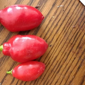 Manzano Red Teardrop Chile Pepper Seeds 24 - Shipping is Free - Etsy