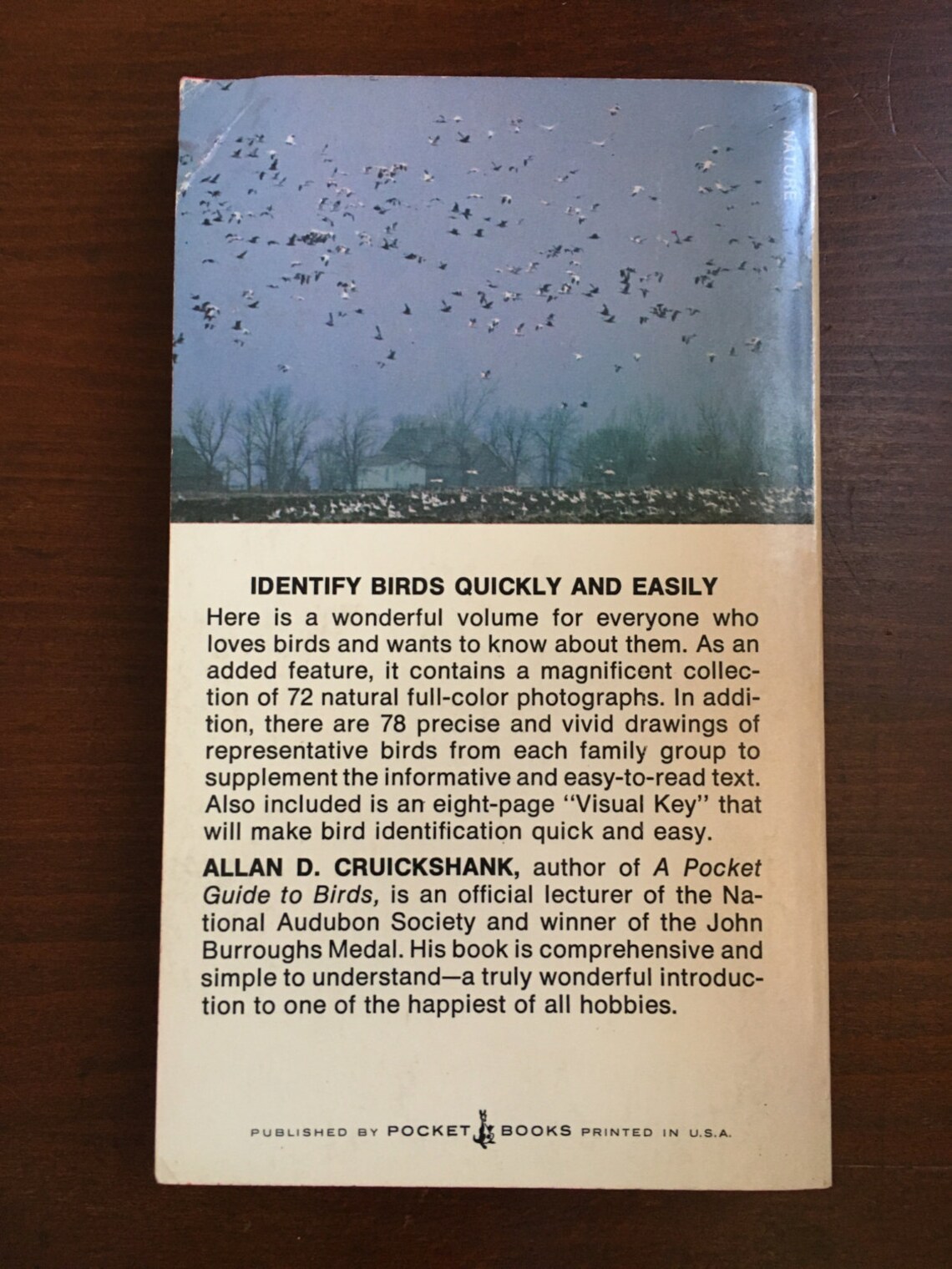 A Pocket Guide to Birds Vintage Nature Book Field Guide Bird - Etsy