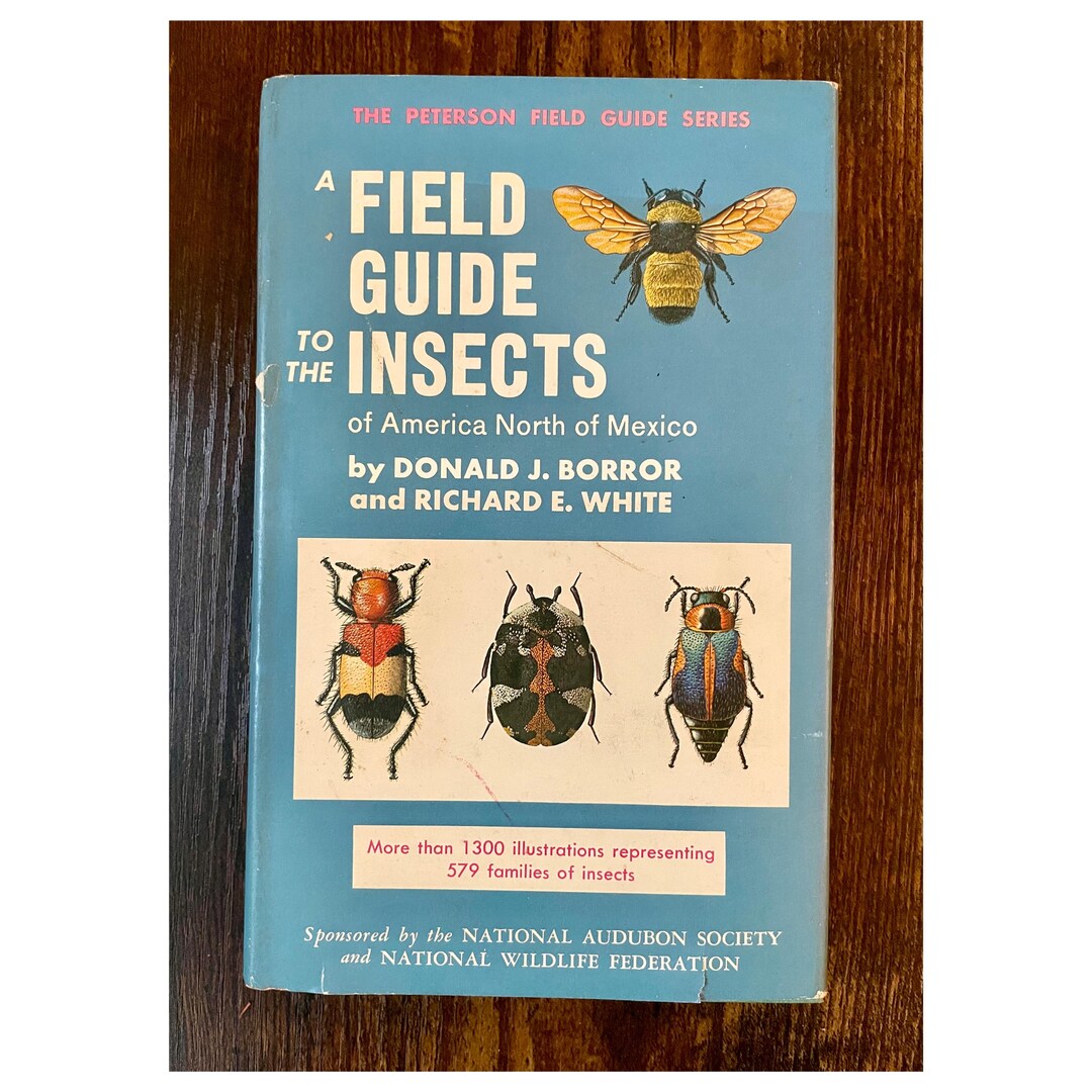 A Field Guide to the Insects of America North of Mexico, Vintage ...