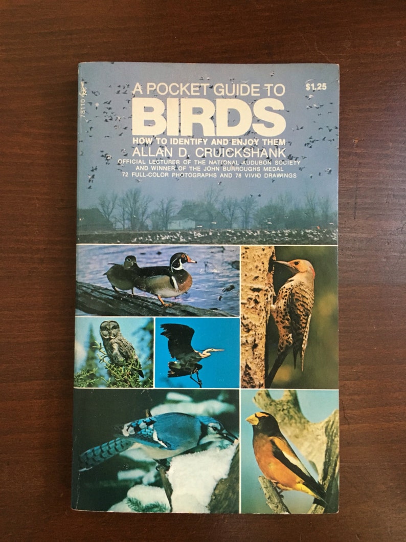A Pocket Guide to Birds Vintage Nature Book, Field Guide, Bird Guide by ...