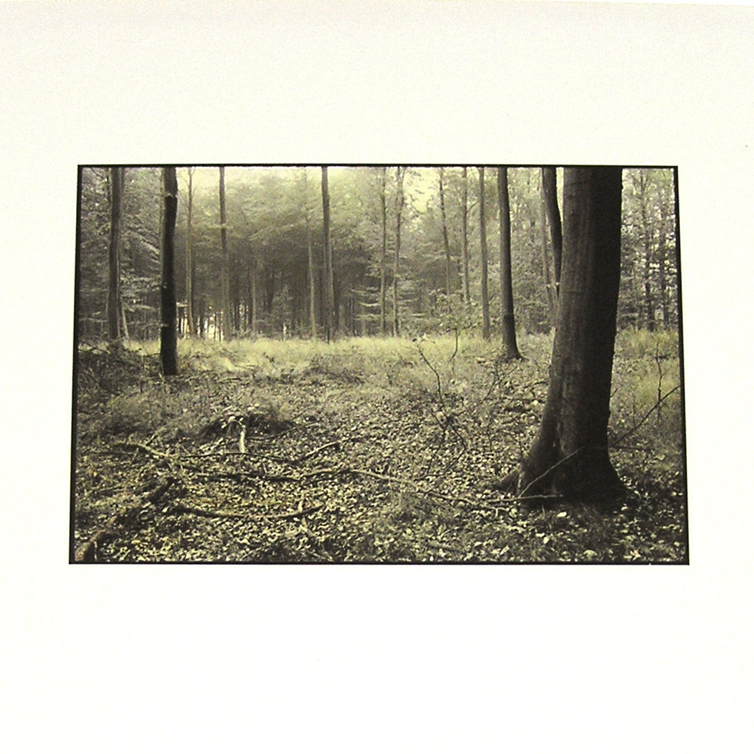 Denmark Landscape Photograph Hand Colored Silver Print 8 X 10 ...