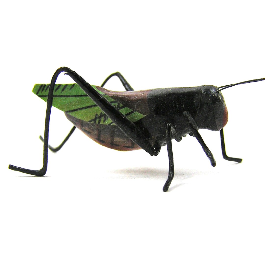 Paper Maché Insect Grasshopper Hand Painted Bug China - Etsy
