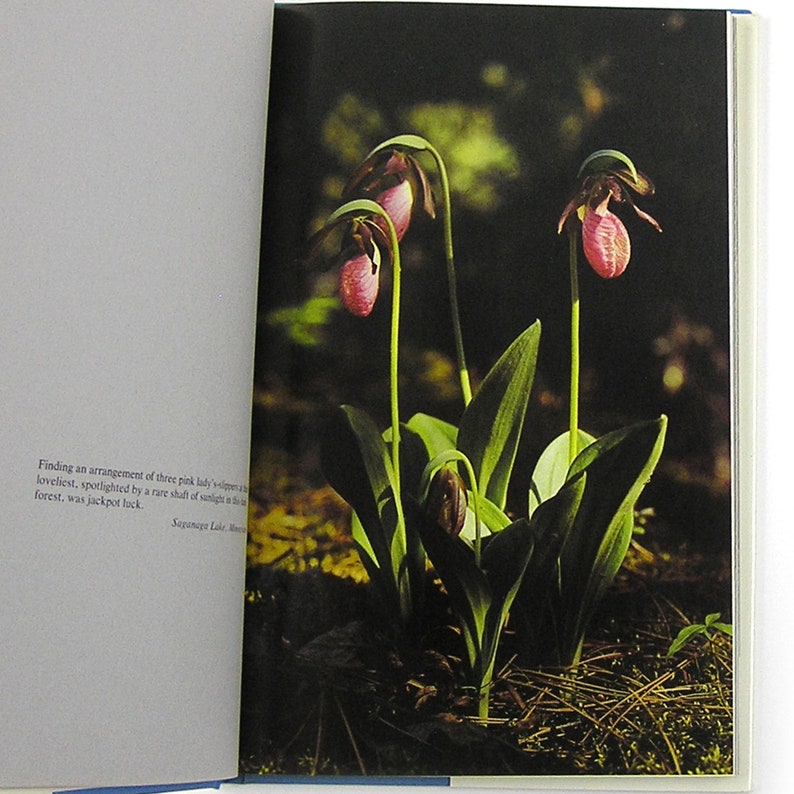 Wildlife Photography Book Les Blacklock Ain't Nature Grand - Etsy