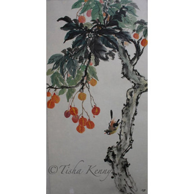 Lychee Tree - Etsy
