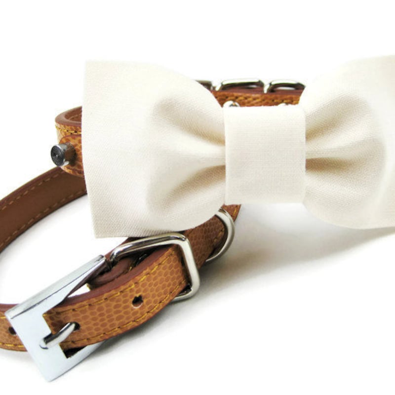 Detachable Ivory Collar - Etsy