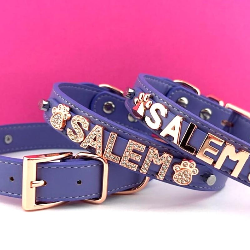 Purple Dog Collar - Etsy