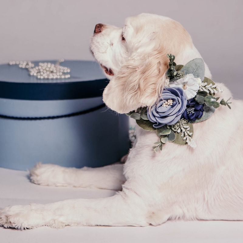 Dog Wedding Collar - Etsy