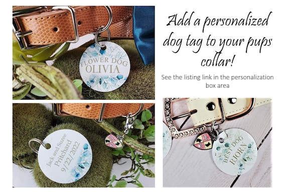 Cool Dog Tag Ideas