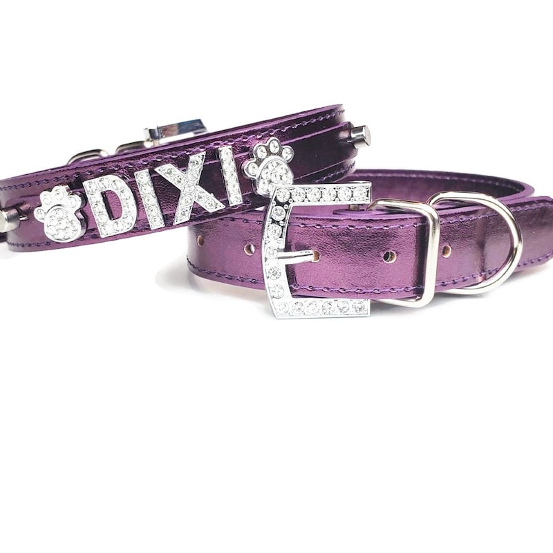 Purple Dog Collar - Etsy