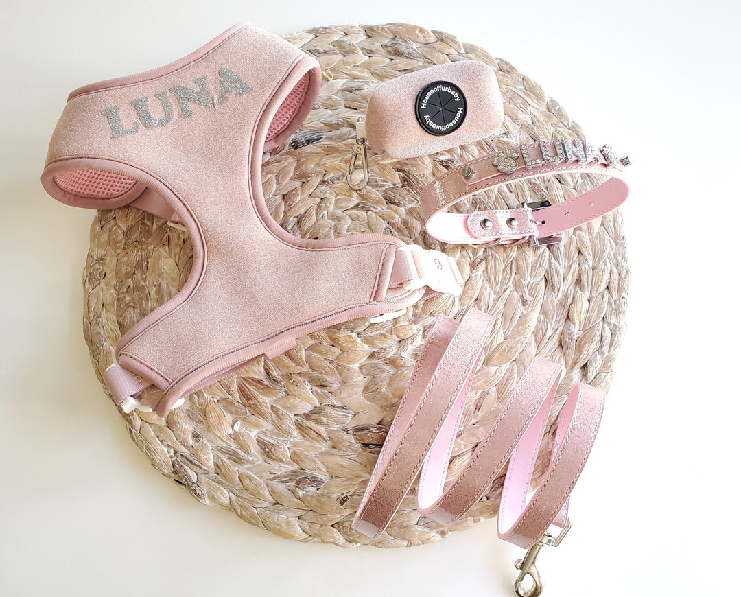 Personalized Pink Dog Harness | Ballet Blush Personalized Harness ...