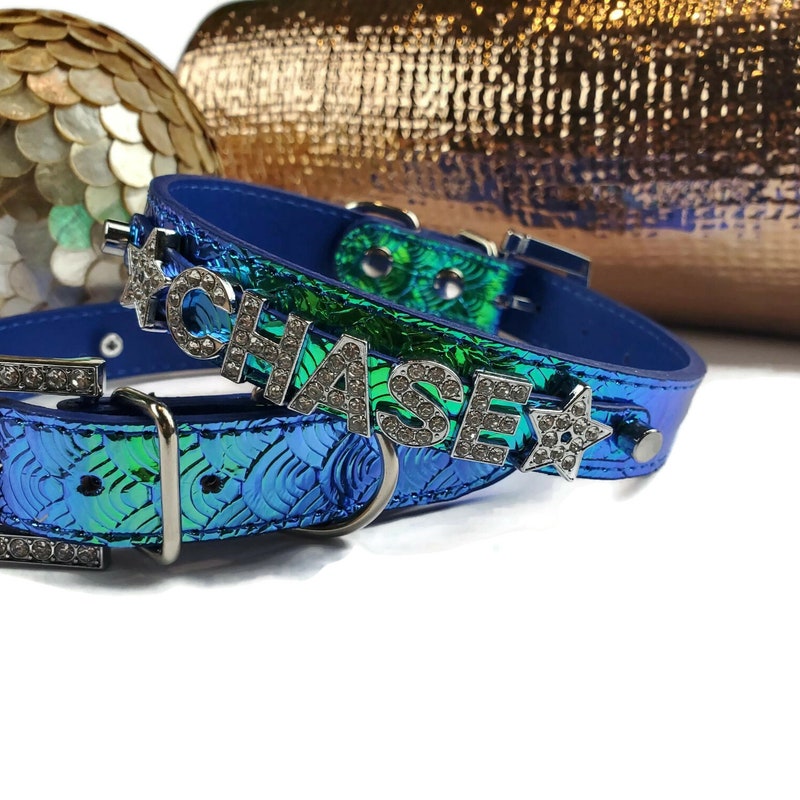 Dragon Dog Collar - Etsy