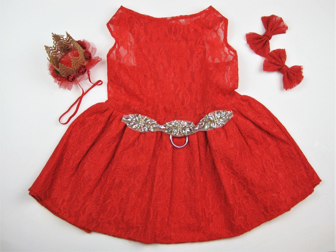 Red Dog Dress | Dog Quinceanera | Fancy Dog Dress | Winter Wedding ...