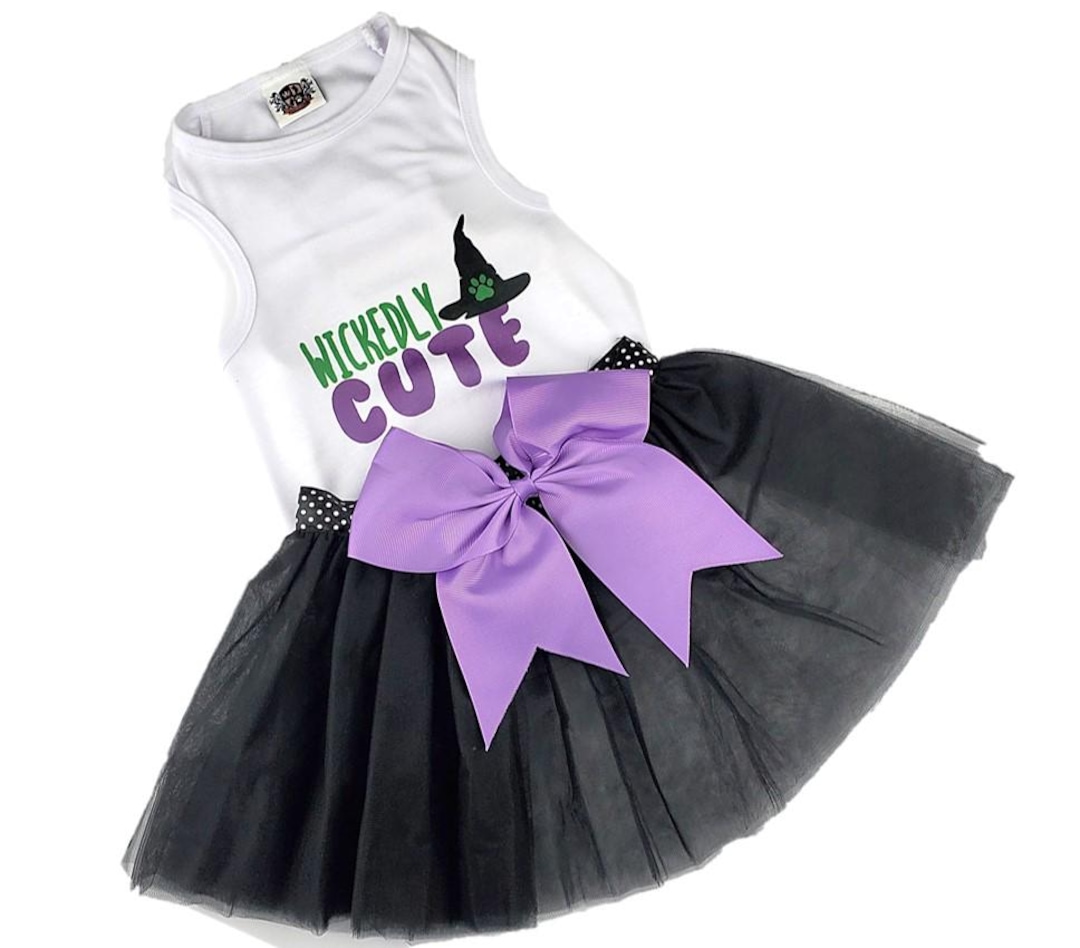 Halloween Witch Costume for Dog | Personalized Dog Halloween Costume ...