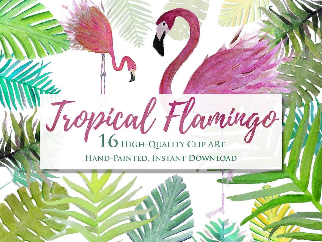 Tropical Flamingo & Leaves: Watercolor Clip Art, Hand Painted for ...
