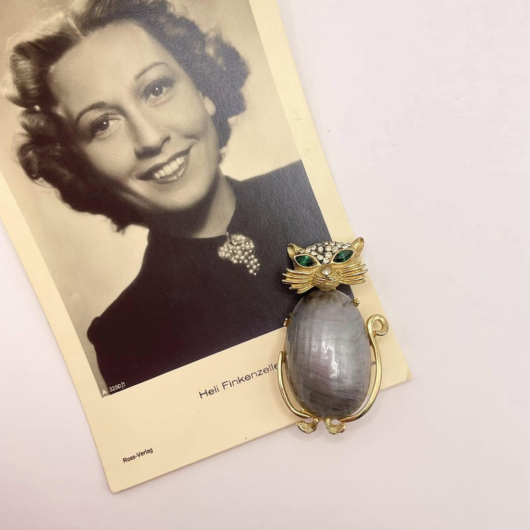 Vintage 1960's 1970's Brooch Pin Gray Plastic Body *cat* Clear ...