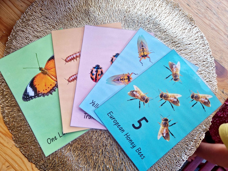 Hermosas tarjetas didácticas con números sobre insectos - Etsy México